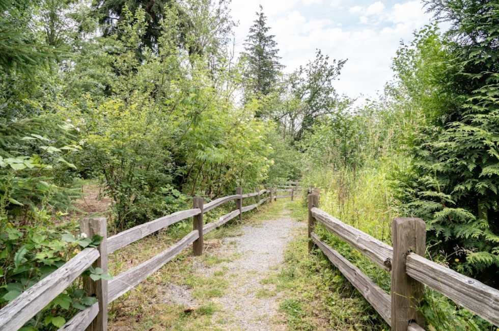 Accessible Trails in Surrey, BC - AccessNow